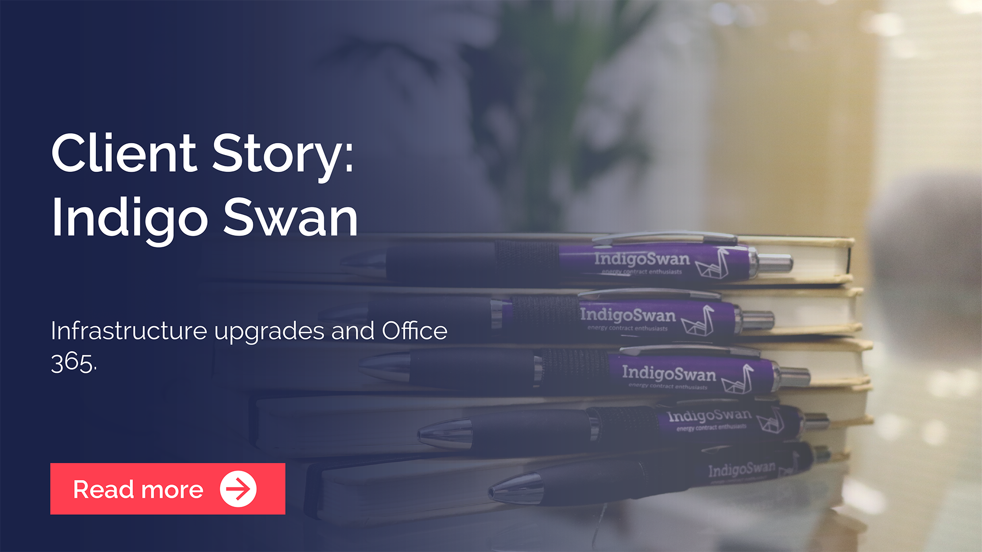 Indigo Swan Case Study | Breakwater IT | Norwich, Norfolk